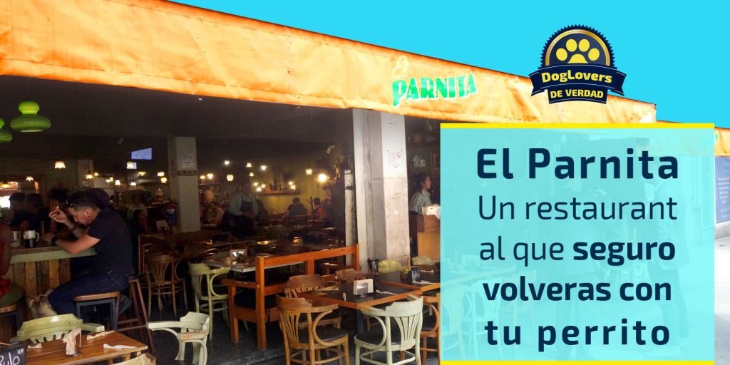El Parnita, antojitos mexicanos para ti y tu perrito - CaminanBlog