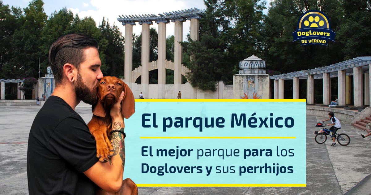 Parque México, el mejor lugar para pasear a tu perrhijo - CaminanBlog
