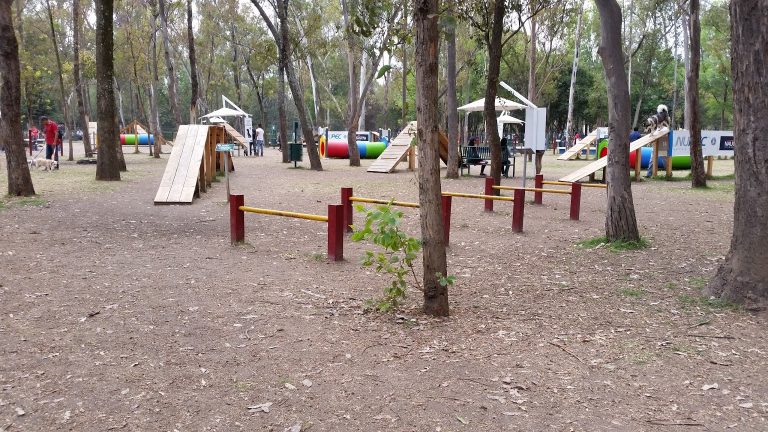 Parque Naucalli, Un parque todo terreno, entre torres - CaminanBlog