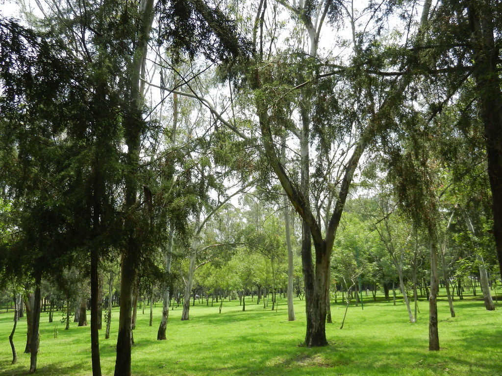Parque Naucalli, Un parque todo terreno, entre torres - CaminanBlog