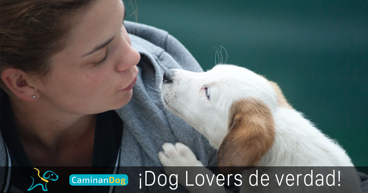 Para mí, tú eres mi mamá ¡Feliz día de la mamá perruna! - CaminanBlog